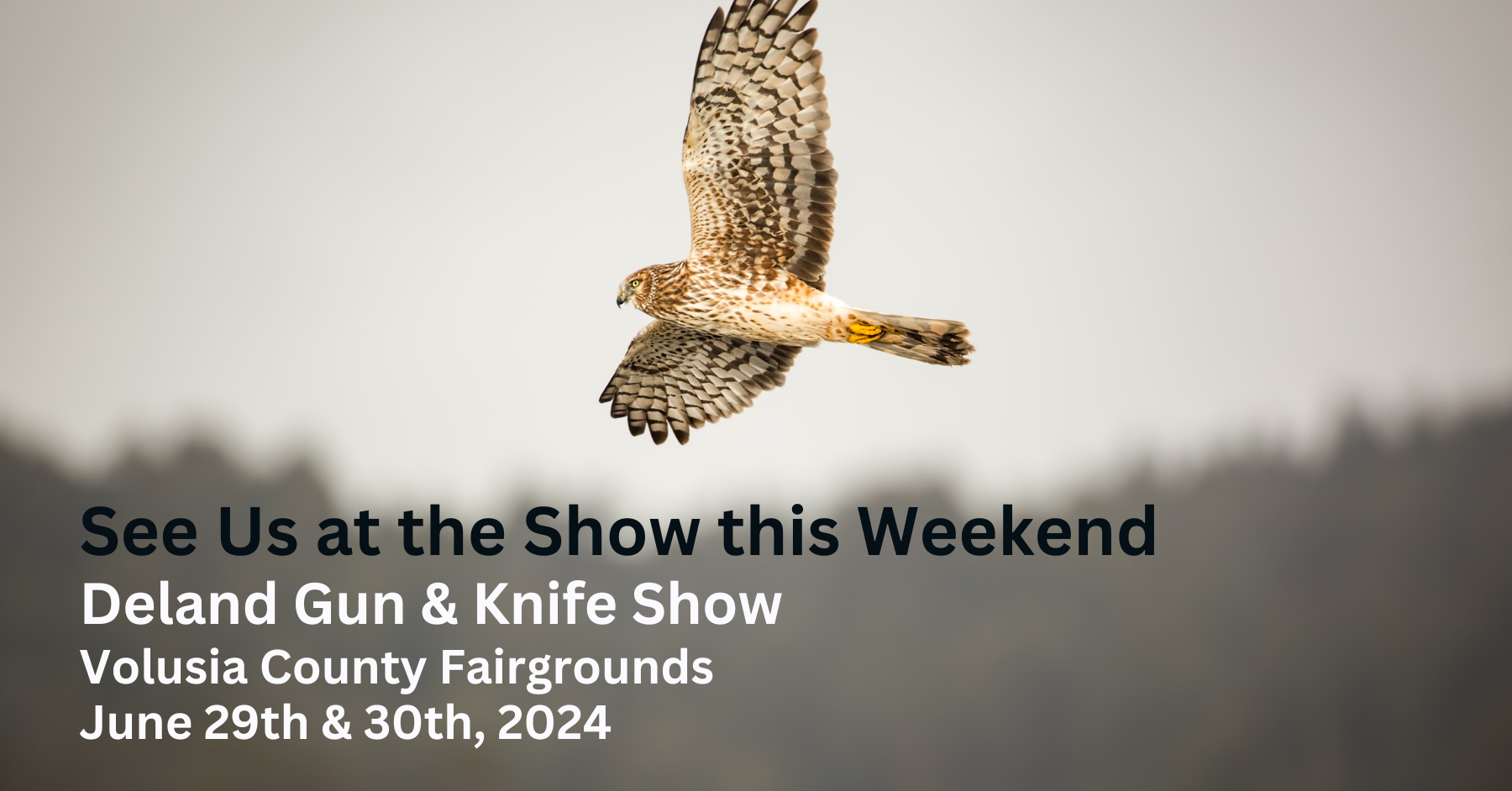 Show Specials - Beavers Dam Warehouse